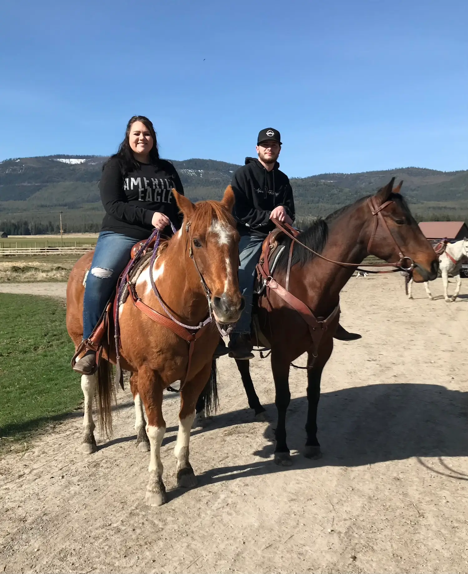 Miniature Cattle Ranch In Montana